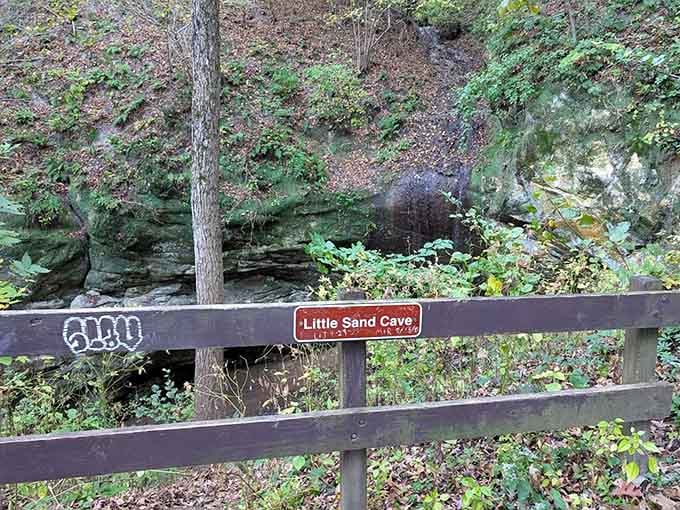 Little Sand Cave welcomes visitors with its intimate alcove, where sunlight plays hide-and-seek through the forest canopy.
