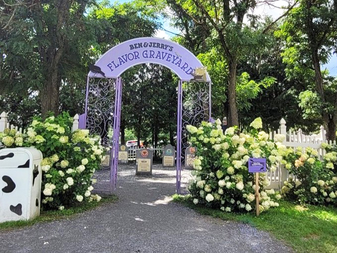 A purple archway beckons visitors into the whimsical world of flavor afterlife, framed by lush hydrangeas and Vermont greenery.