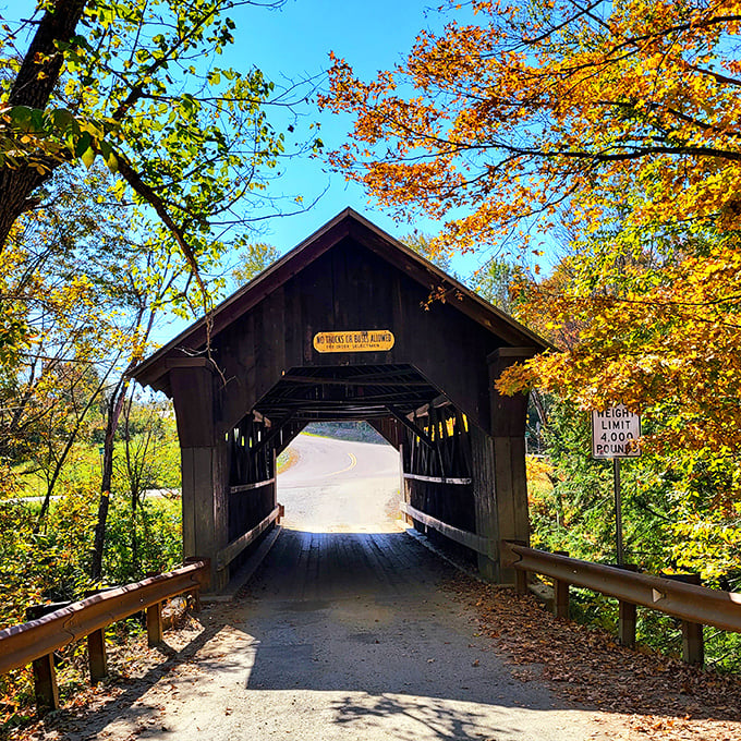 Framed by autumn's fiery palette, Emily's Bridge offers a deceptively charming facade that masks its reputation for supernatural encounters.