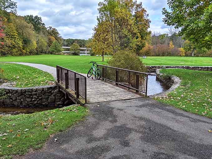 Emerald meadows stretch toward the horizon, offering a perfect canvas for picnics, frisbee games, or simply cloud-watching.