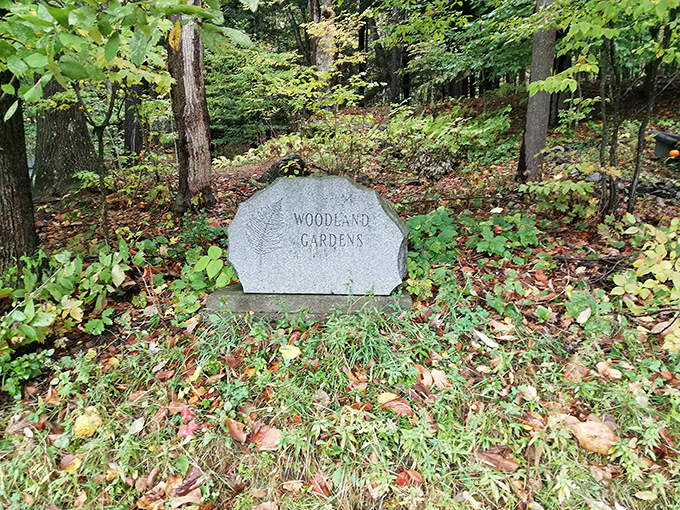 This weathered headstone tells silent stories, its aged surface a canvas where history and artistry meet under Vermont's open sky.