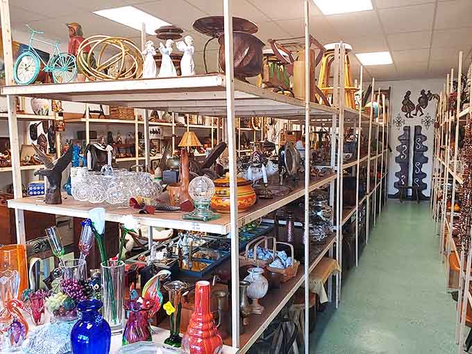 Aisles packed floor to ceiling with decades of history, where every shelf promises a new discovery waiting to happen.