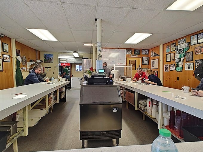 The heart of Burlington beats around this U-shaped counter, where strangers become friends over coffee and the griddle sizzles with promise.