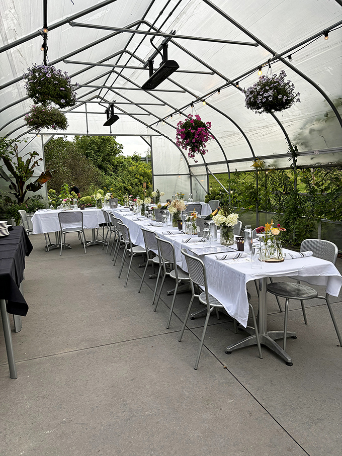 The greenhouse dining area transforms meals into garden parties, with hanging plants creating nature's own chandelier above elegant table settings.