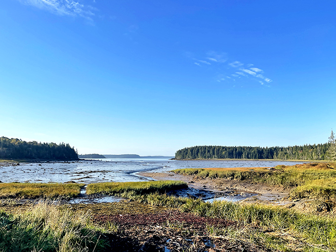 A serene pond scene where time seems to stand still &ndash; the kind of place where fish stories become reality.