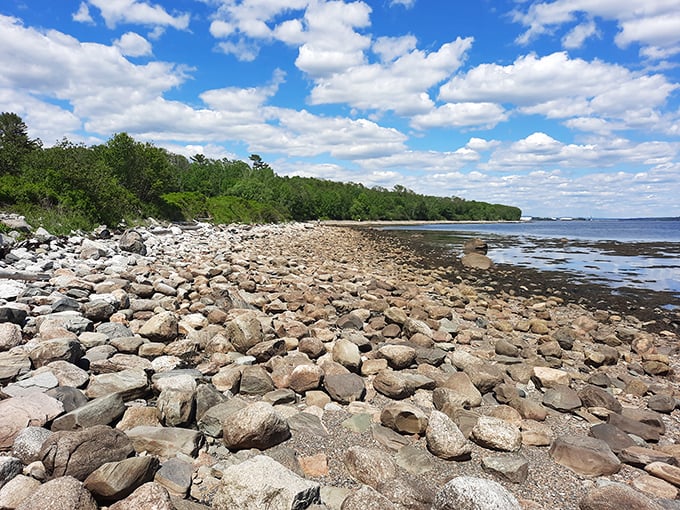 Low tide reveals a geological wonderland, with smooth stones telling ancient stories of Maine's rugged coast through the centuries.