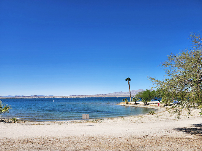 The impossible blue of Lake Havasu stretches to meet rugged mountains, creating nature's version of a perfect watercolor painting.