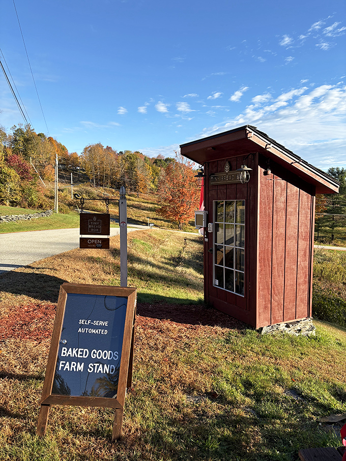 Autumn perfection frames this little bakery gem, where the self-serve sign hints at the honor-system treasure trove waiting inside.