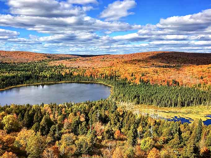 This view hits different when you realize no filter on earth could improve what's already perfect, just trees, water, and sky in perfect harmony.