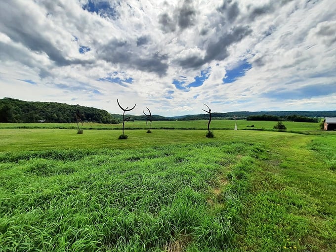 Welcome to Vermont's version of an art gallery! Here, the frames are made of mountains, and the canvas is endless green.