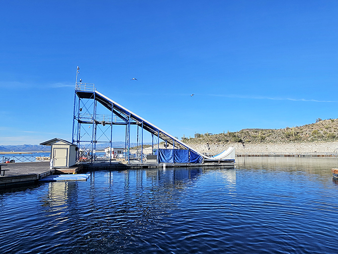 Morning light catches the slide's profile against Arizona's desert landscape &ndash; serenity before the screaming begins.