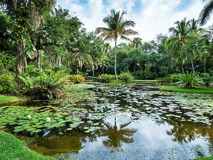 Reflections of paradise: The water lily pond creates perfect mirror images of palms and sky, doubling the garden's beauty.