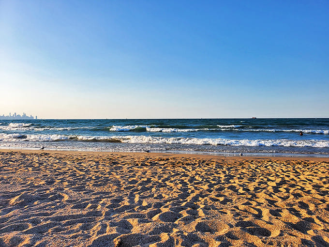 Gentle waves lap against the sandy shoreline, creating that distinctive Great Lakes magic that makes you forget you're in a major metropolis.