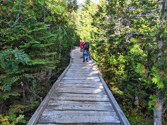 The boardwalk less traveled: Hikers navigate the wooden path through dense Maine forest on their way to alpine glory.