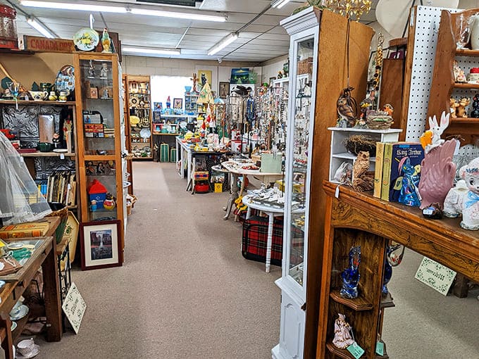 Narrow pathways wind through history-laden shelves, where every turn promises new discoveries and unexpected memories waiting to be unearthed.