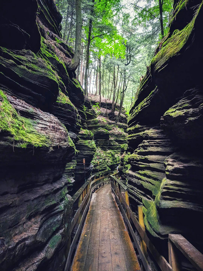 Nature's own haunted house! Wander through this moss-covered canyon and feel like you've stepped into a fairy tale gone delightfully wrong. 