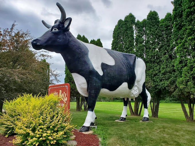 Holy cow! Chatty Belle's larger-than-life presence is udder-ly impressive. She's got Wisconsin's dairy tales down to a science &ndash; literally!