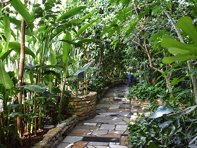 Tropical paradise or Minnesota miracle? This steamy oasis laughs in the face of winter, serving up a slice of jungle pie year-round.