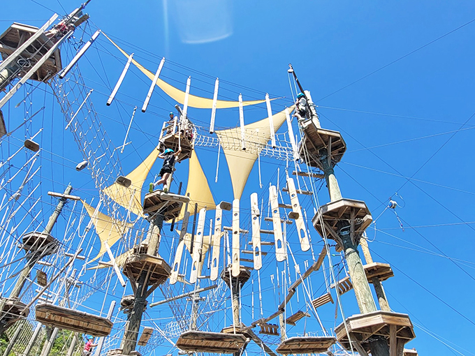 Who needs stairs when you can fly? This sky-high adventure makes bird watching a full-contact sport.