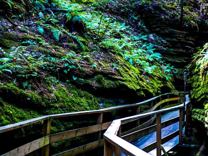 Eerie shadows and towering rock walls make this Wisconsin Dells gem feel like the perfect backdrop for a Tim Burton film.