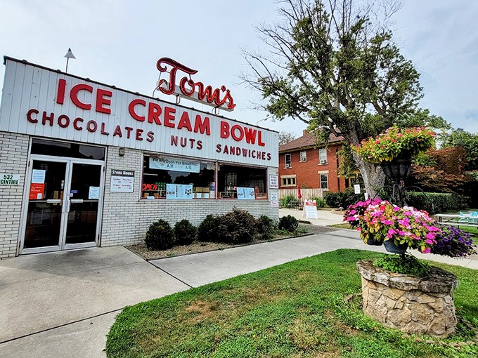 Flower power meets ice cream tower! Tom's in Zanesville is where your grandma's garden party collides with your wildest dessert dreams. That cheery exterior is just a teaser &ndash; inside, it's a wonderland of flavors that'll make you want to hug the ice cream maker. Groovy, baby!