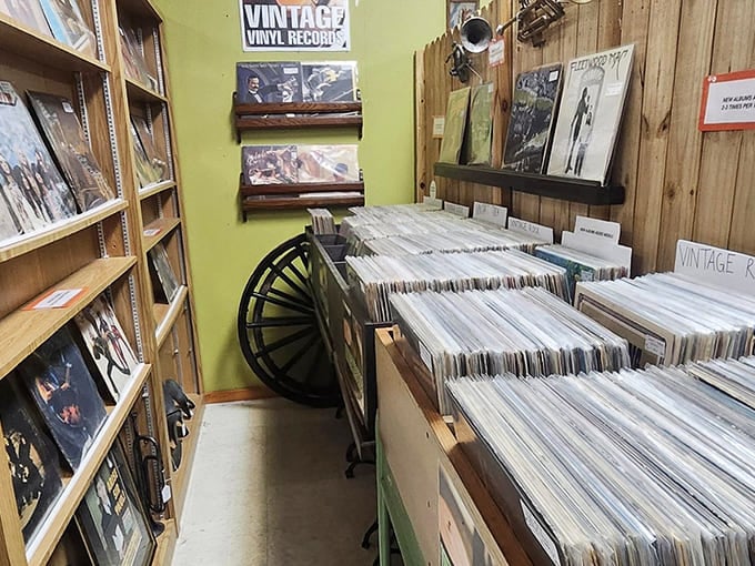 Vinyl heaven awaits music lovers &ndash; each record sleeve a time capsule of sound, art, and memories waiting to be rediscovered.