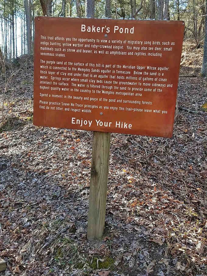 The trail sign promises migratory songbirds and maybe a snake or two, because even paradise needs a little edge.