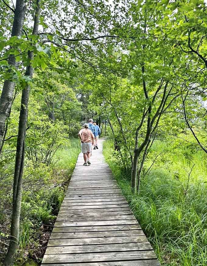This wooden pathway through wetlands feels like stepping into a National Geographic photo spread, minus the subscription fee.
