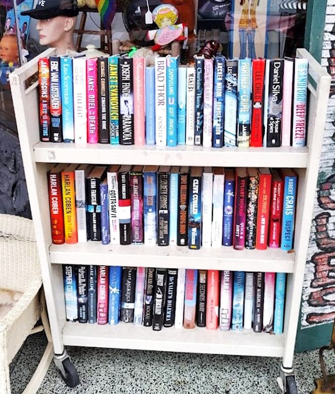 Literary adventures await on simple white shelves – from forgotten bestsellers to quirky titles that make you wonder who published them and why.