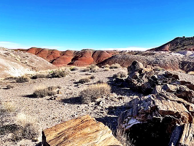 Petrified wood, meet petrifying views. This landscape is so jaw-dropping, you might need to pick your chin up off the desert floor.