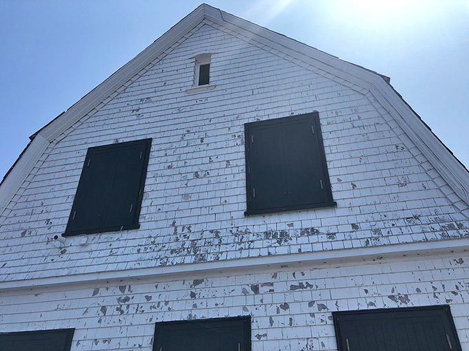 The weathered white siding and green shutters tell stories of decades facing Maine's notorious coastal weather patterns.
