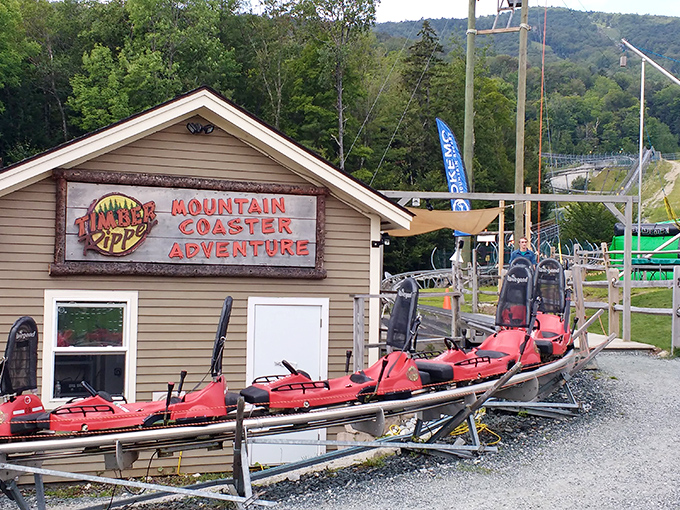 The coaster station, where red carts await their next pilots &ndash; each one a chariot ready to deliver personalized mountain thrills.