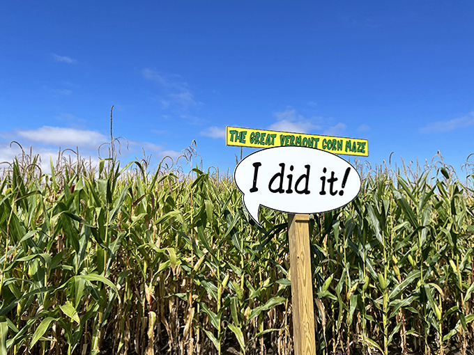 Sweet victory awaits! This "I did it!" sign becomes the most beautiful sight in Vermont after hours of corn-induced confusion.