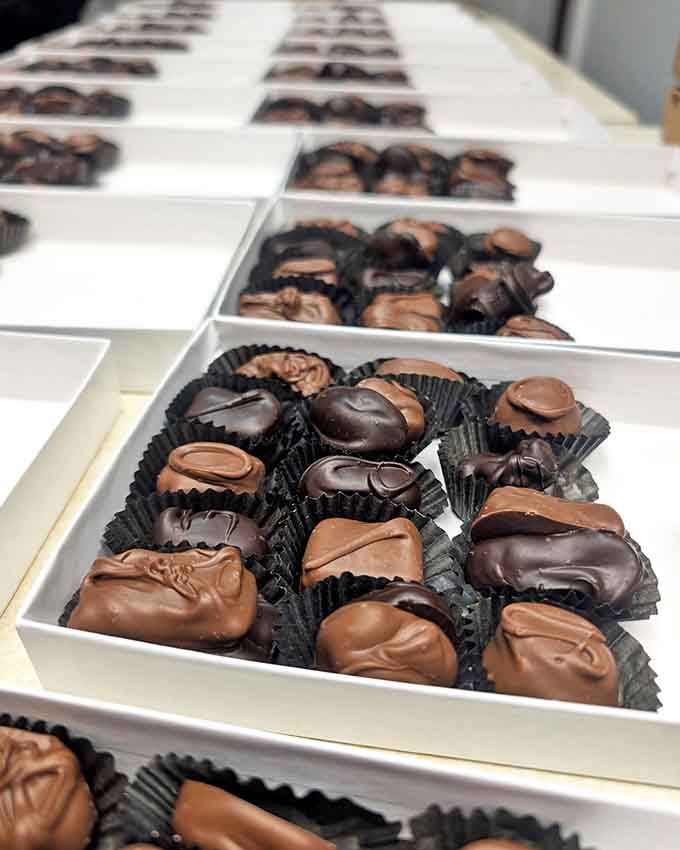 Deluxe Assorted boxes: Chocolate geometry at its finest &ndash; each piece arranged with the precision of edible art.