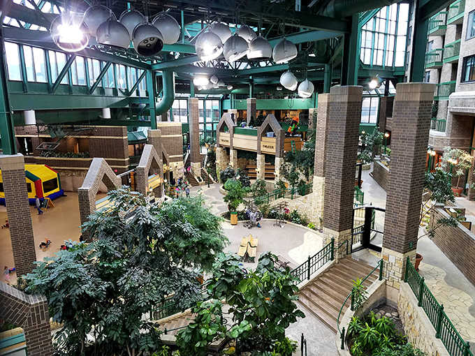 From this bird's-eye view, the park's thoughtful design reveals itself&mdash;natural light floods through skylights, illuminating the indoor paradise below.