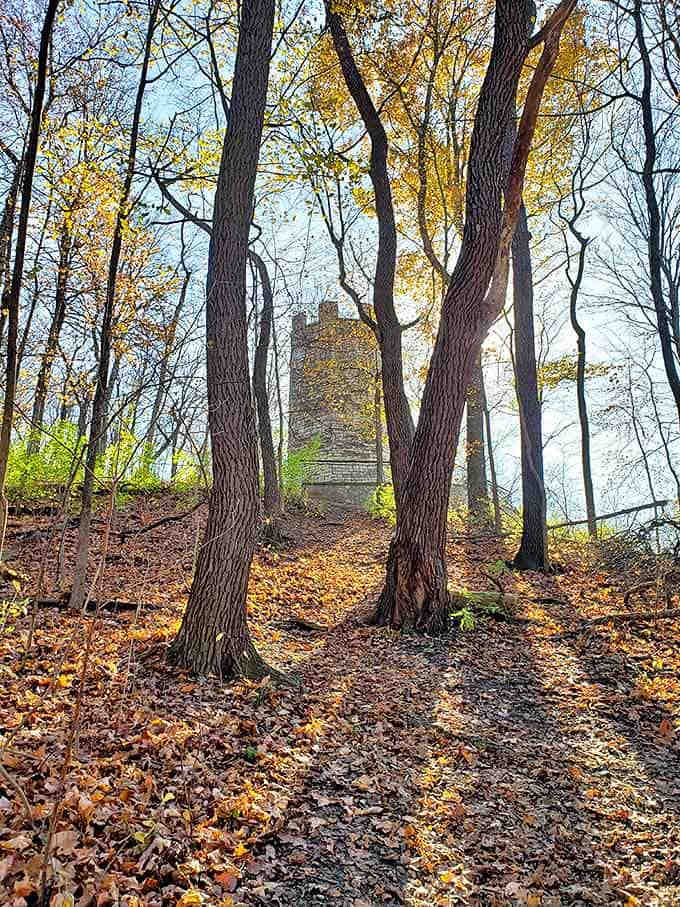 Framed by golden autumn foliage, the castle's silhouette creates a fairytale moment that would make Tim Burton reach for his sketchbook.
