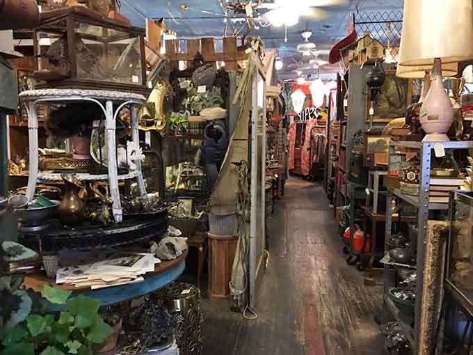 These narrow aisles wind through decades of collected treasures, inviting you to slow down and examine every surface for hidden gems waiting to be discovered.