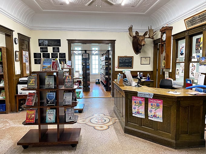 Step inside and meet the library's most imposing patron &ndash; a mounted moose head watching over readers with a distinctly Canadian air of wilderness wisdom.