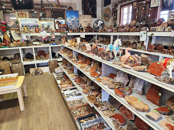 Nature's jewelry box explodes with color as petrified wood and minerals line every available shelf space.