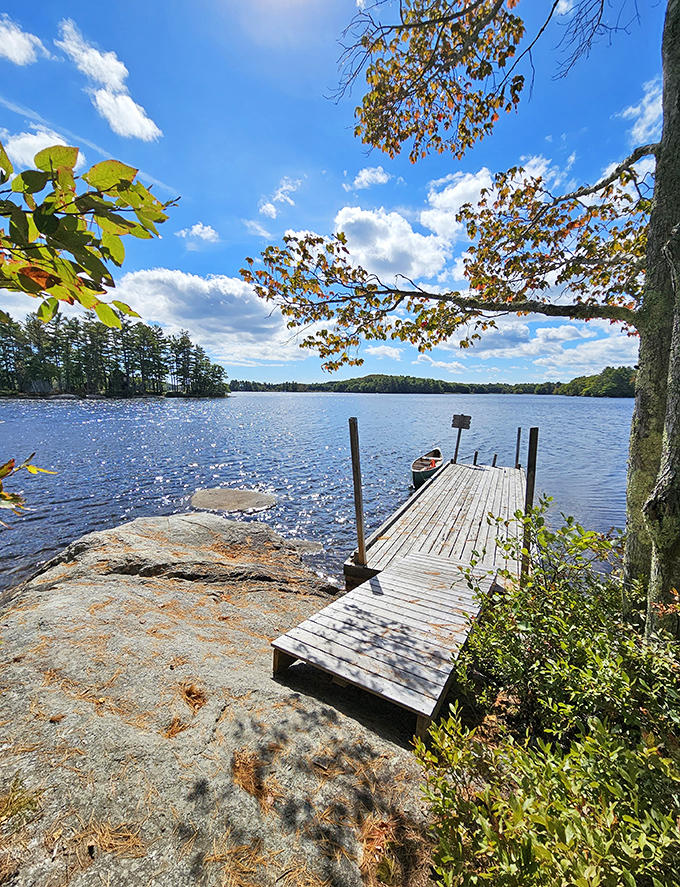 A simple wooden dock extending into the Damariscotta River &ndash; where locals have been launching boats and catching dinner since before America existed.