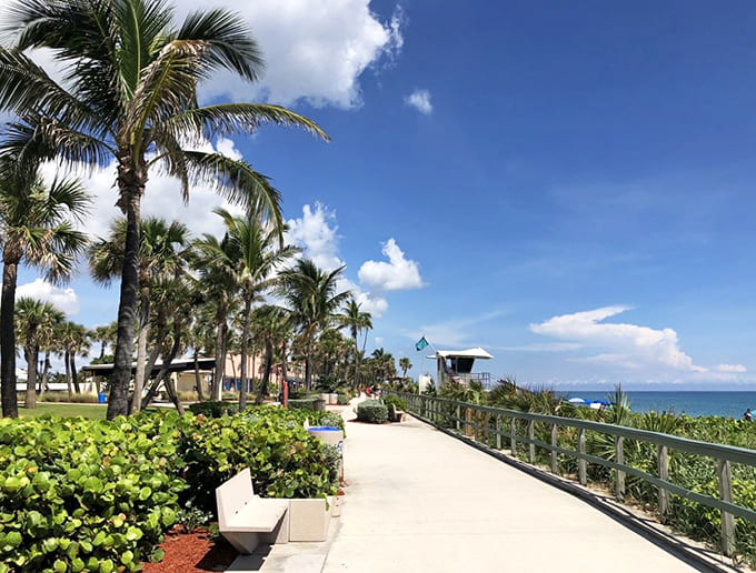 Palm-lined pathways where every step feels like you're walking through a travel brochure. Mother Nature showing off her landscaping skills.