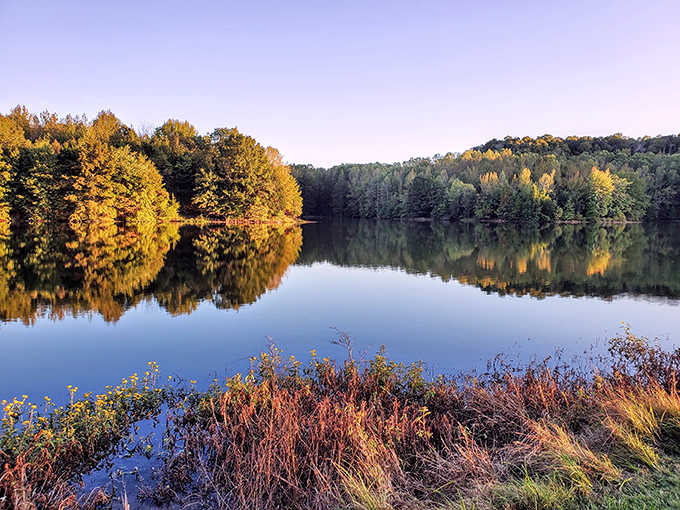 Mother Nature showing off her mirror skills&mdash;the lake's surface creates a perfect reflection of Vermont's majestic pines.