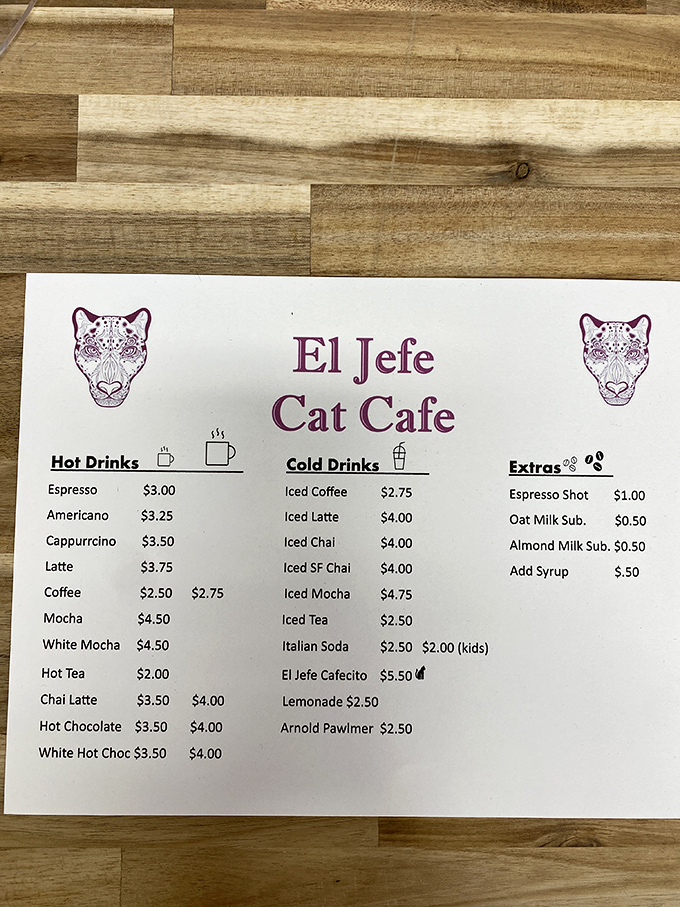 Coffee and cats &ndash; a match made in heaven! El Jefe's menu offers everything from espresso classics to their signature Cafecito.