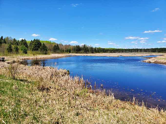 This tranquil lake view offers better therapy than any couch, and the copay is just a park entrance fee.
