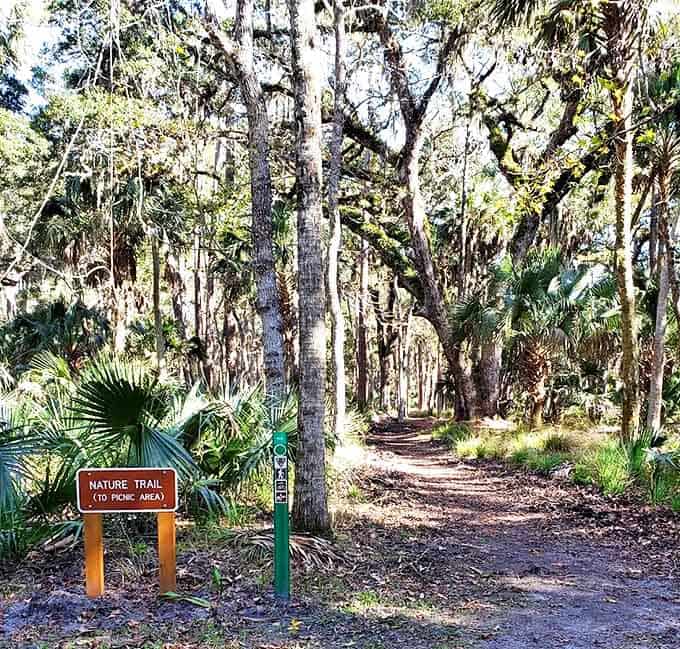Follow the path less traveled &ndash; this nature trail offers peaceful solitude among ancient Florida landscapes.