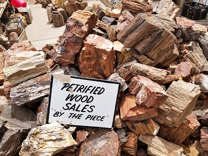 These aren't just logs &ndash; they're time travelers from the Triassic period, when dinosaurs roamed and trees turned to rainbow-colored stone.