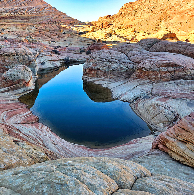 Nature's infinity pool, where rainwater creates perfect mirrors for clouds to admire their own reflection.