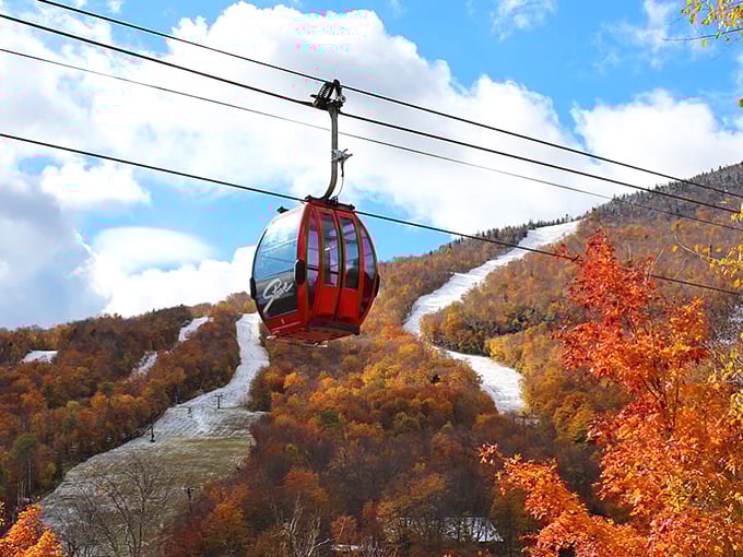 Gliding above a sea of autumn colors, Stowe's iconic red gondola offers views that make smartphones work overtime.