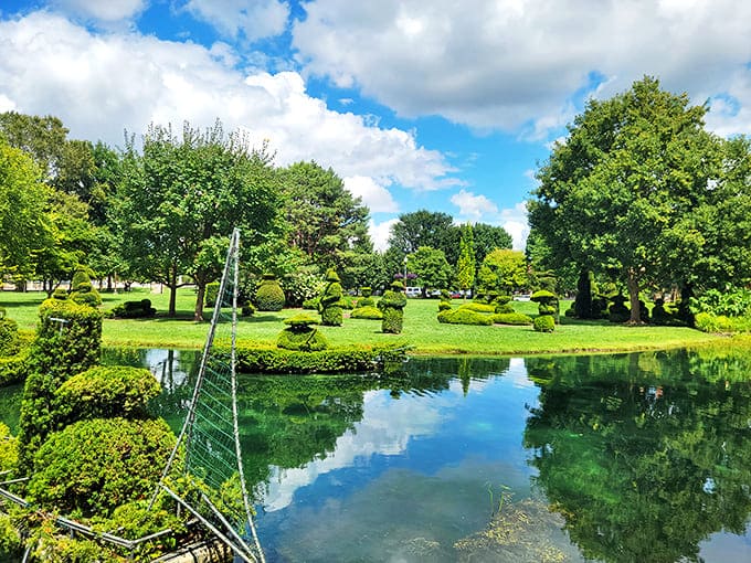 The reflecting pond doubles the visual impact, turning the topiary scene into a mirror image that plays with perception.