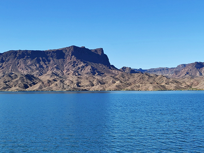 The Colorado River widens into Lake Havasu, creating a startling blue contrast against the rugged desert mountains that surround it.